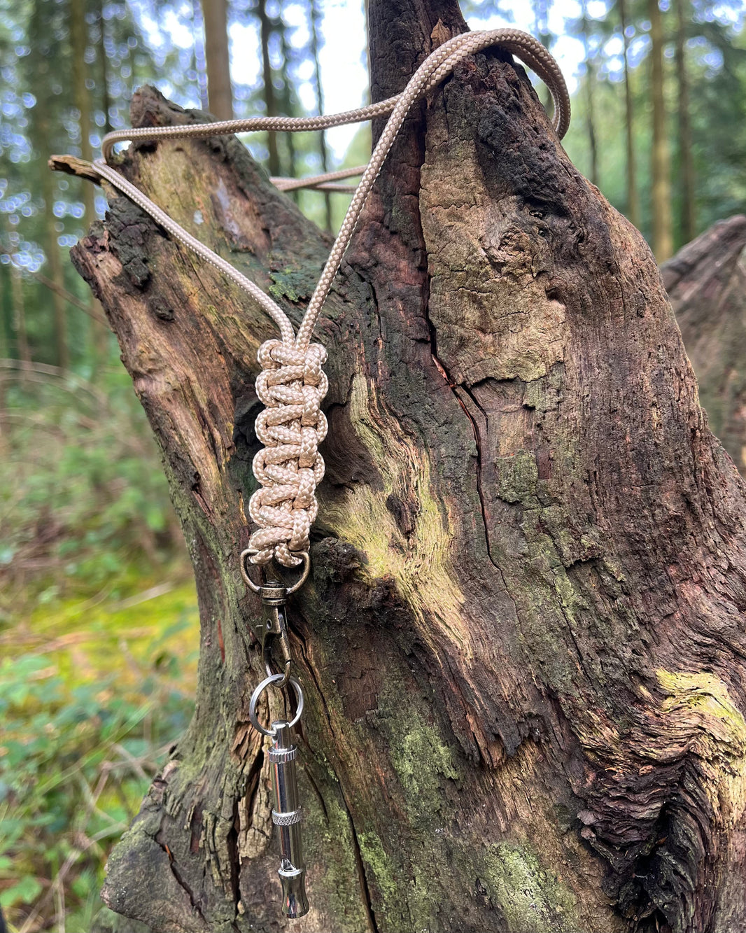 Eco macramé for your dog and home – Mingo & Co